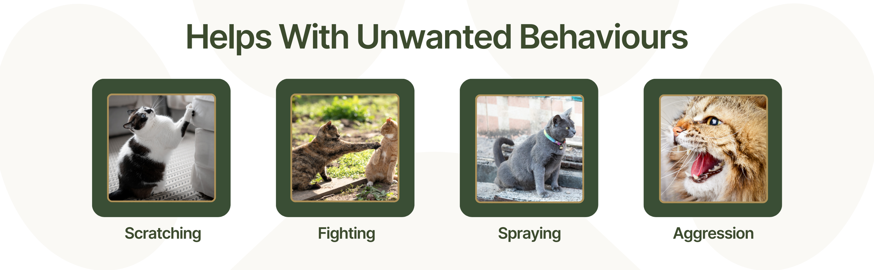 Cat Pheromone Diffuser ,Cat pheromone Products for Anxious Cats ...